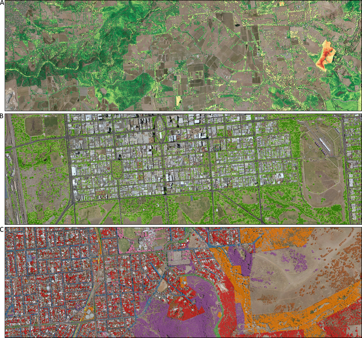 Urban Tree Canopy Management and LIDAR- Aerometrex